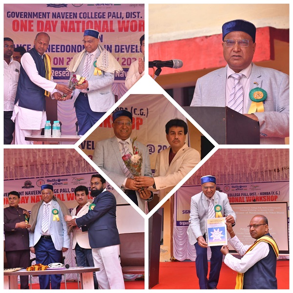 Needonomics reflects maturity and holds the key to needo-governance ...